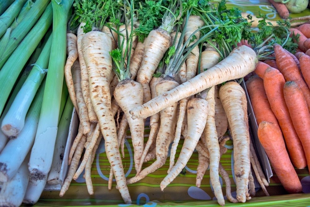 Buckerfields | Your Source for Latest Gardening & Farming News and Tips ...
