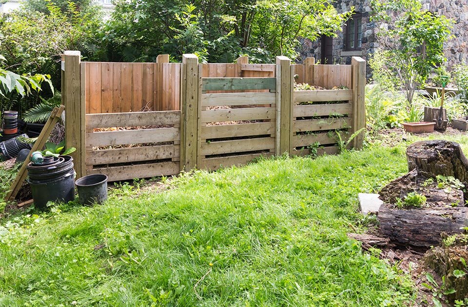 Buckerfields | Your Source for Latest Gardening & Farming News and Tips ...
