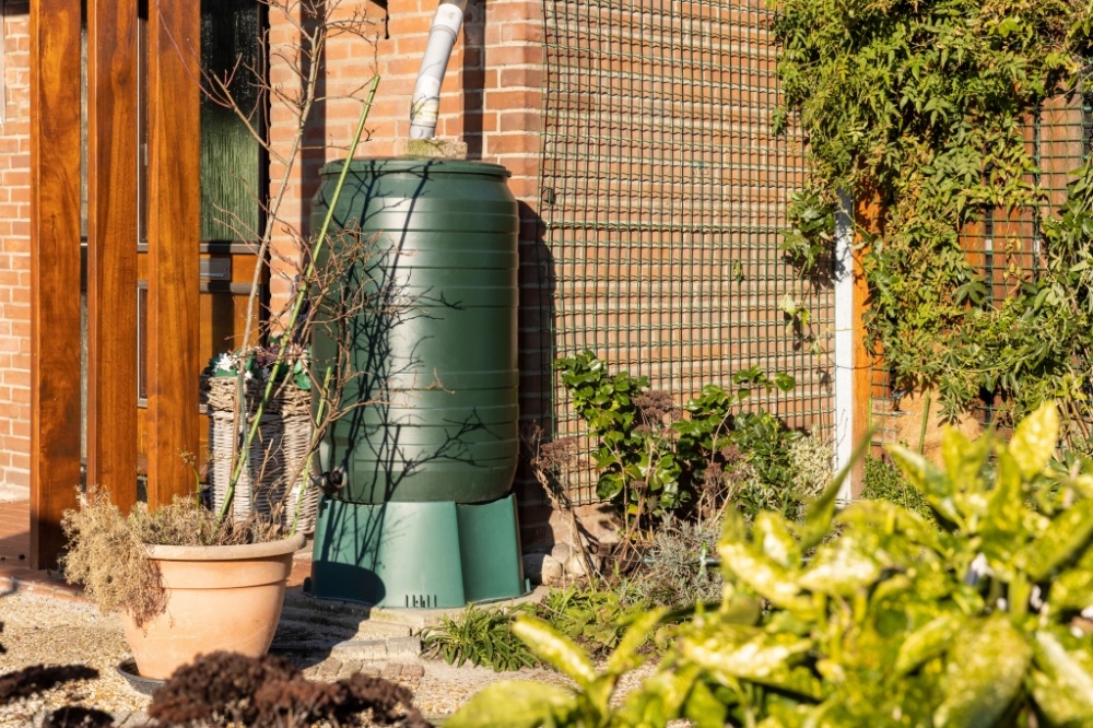 Buckerfields | Your Source for Latest Gardening & Farming News and Tips ...