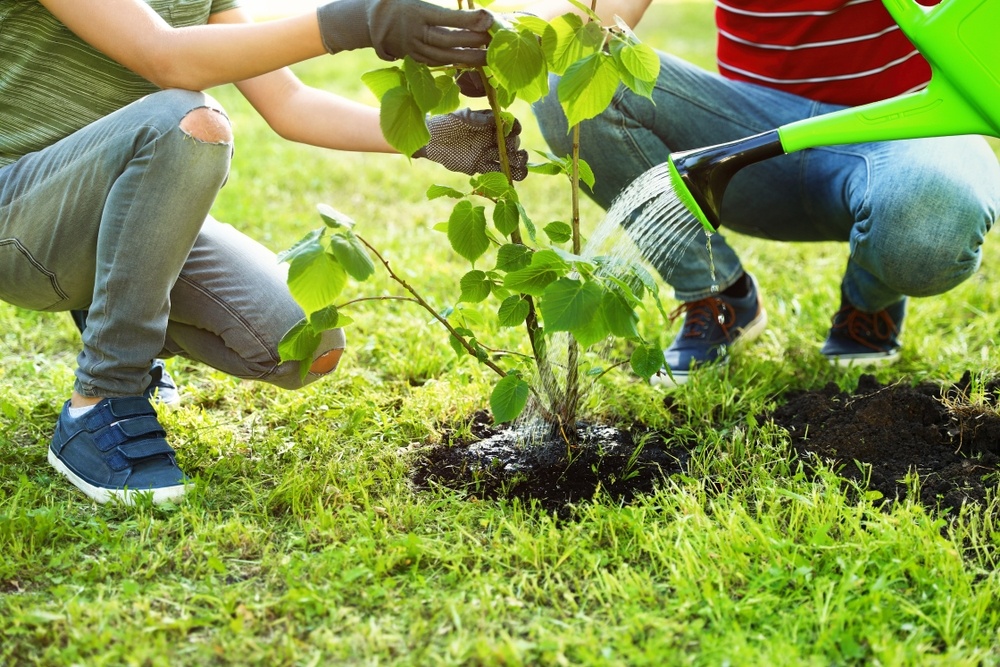 Buckerfields | Your Source for Latest Gardening & Farming News and Tips ...