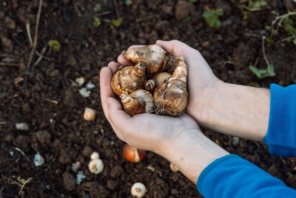 Buckerfields | Your Source for Latest Gardening & Farming News and Tips ...