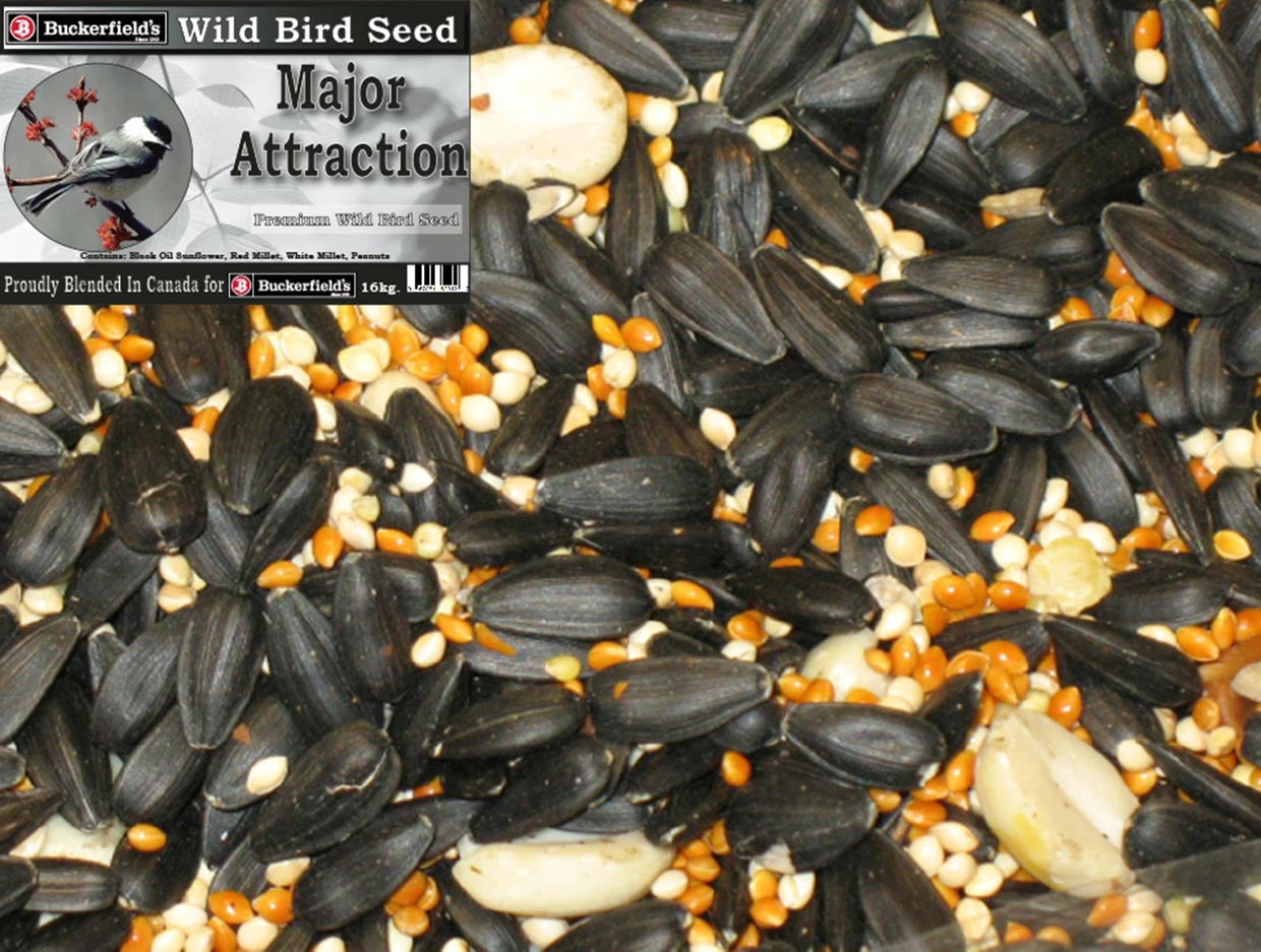 Buckerfield's Major Attraction Wild Bird Seed 16kg - Buckerfield's - BC ...
