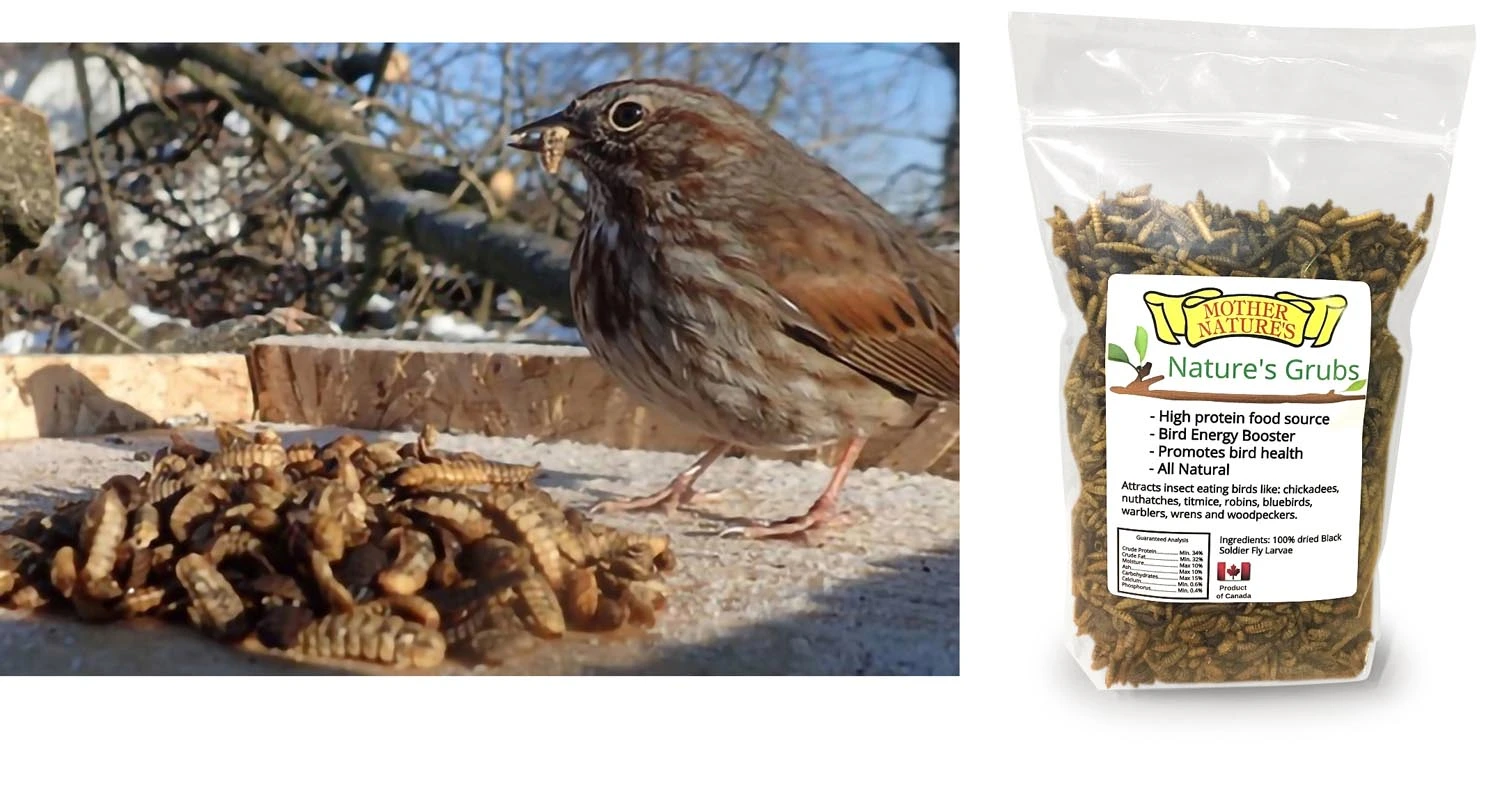 Nature's Grubs 2kg - Buckerfield's - BC's Original Country Store