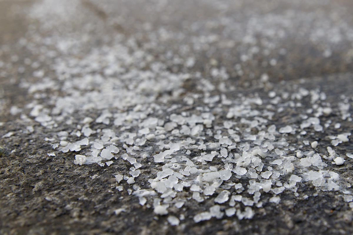 Solar Crystals Extra Coarse Salt 50lb - Buckerfield's - BC's Original ...